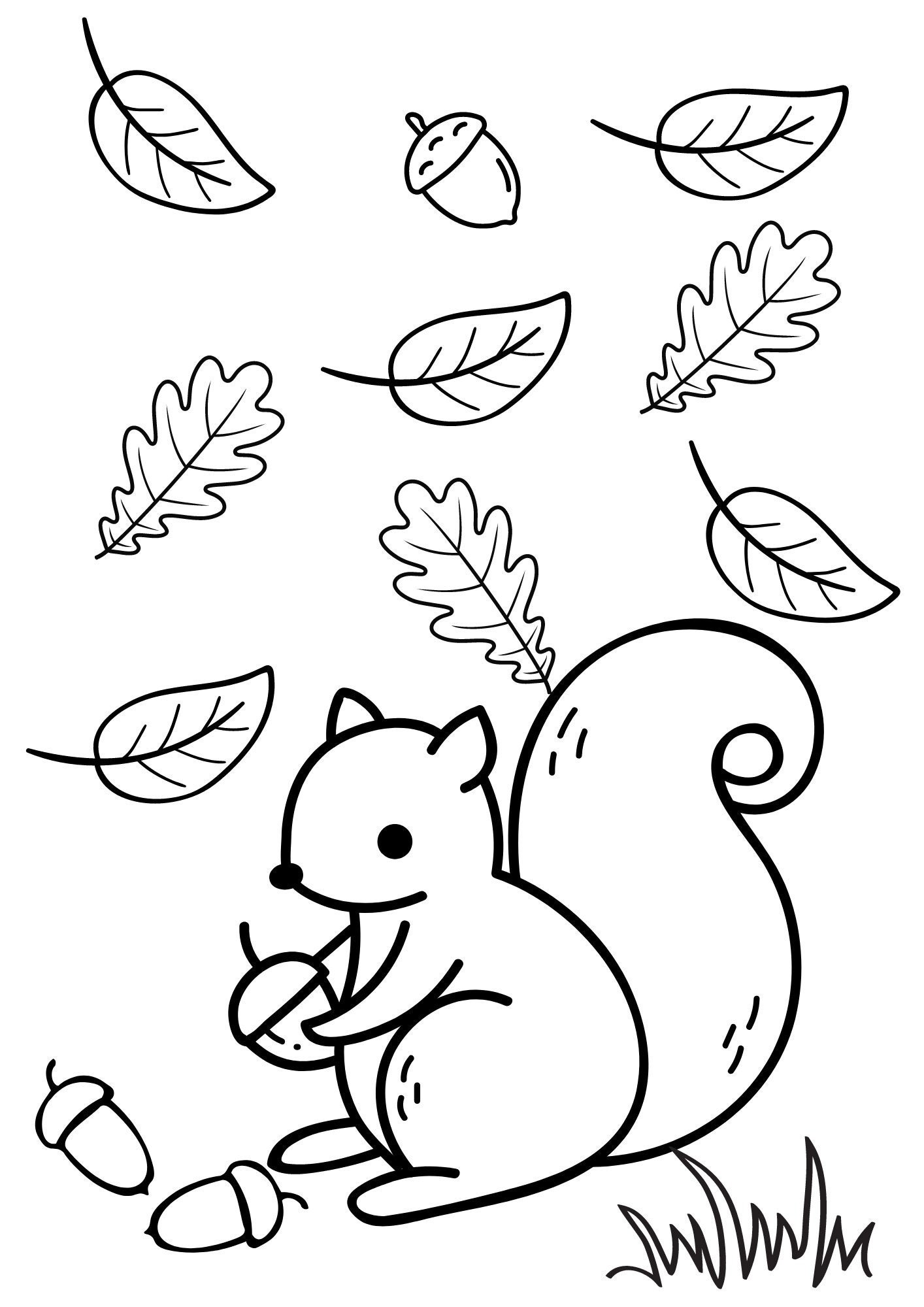 A Squirrel in Fall - Etsy