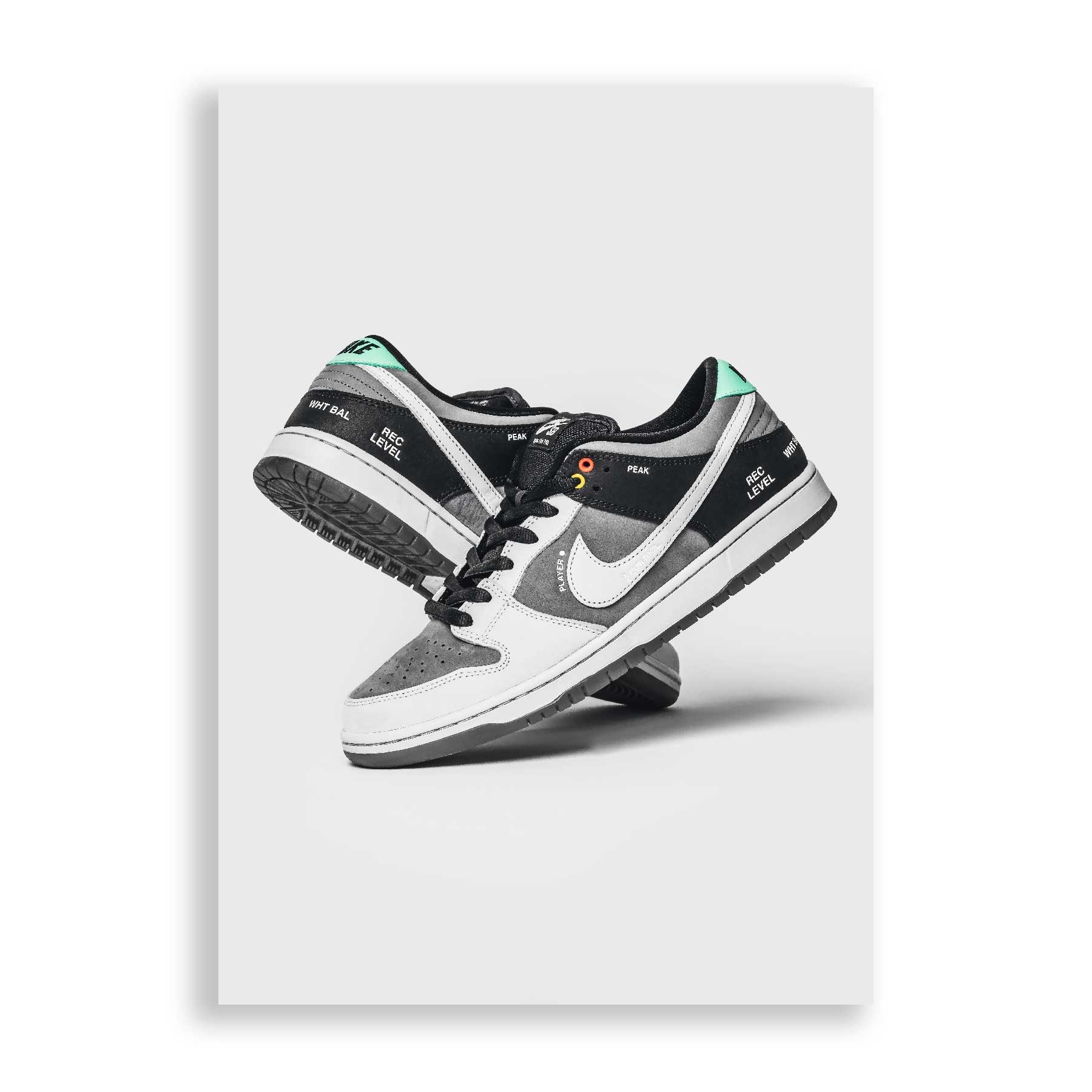 Nike SB Dunk Low VX1000 Sneaker Poster - Etsy