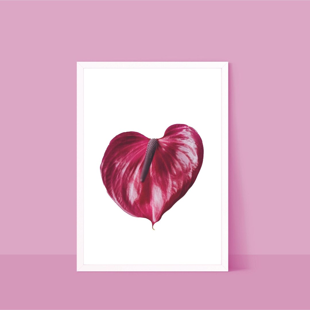 Flower Petal Print, Flower Poster, Vanity Wall Art, Crimson Petal ...