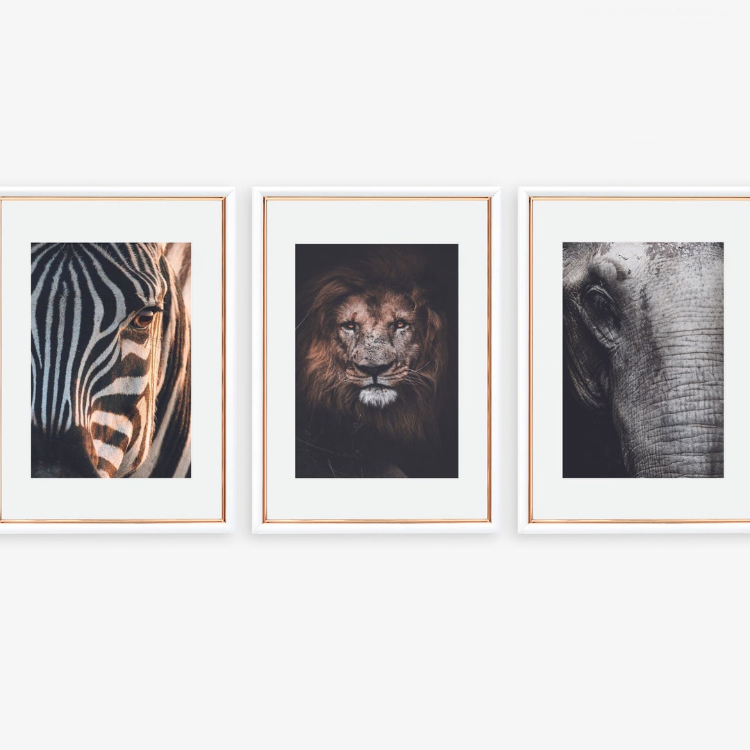 Safari Animal Photography Prints, PRINTABLE Elephant, Zebra, and Lion ...