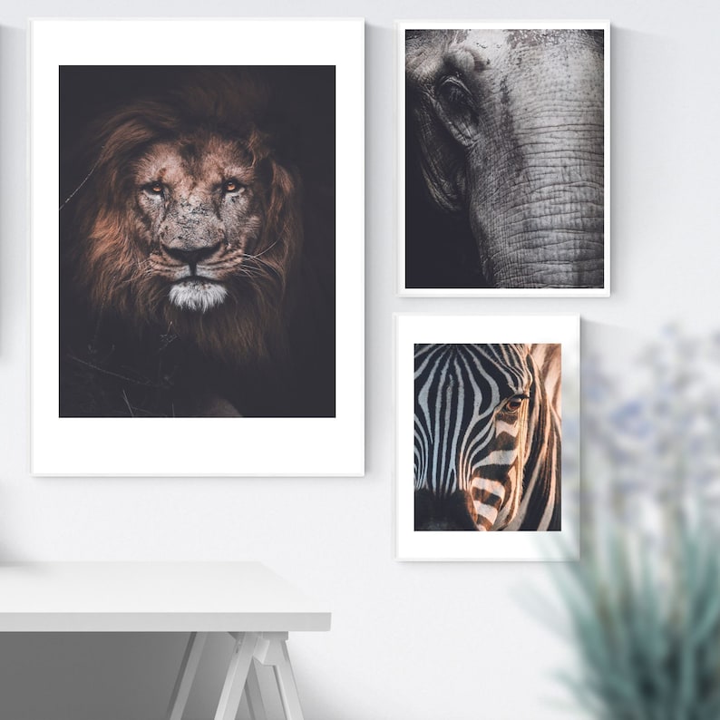 Safari Animal Photography Prints, PRINTABLE Elephant, Zebra, and Lion ...