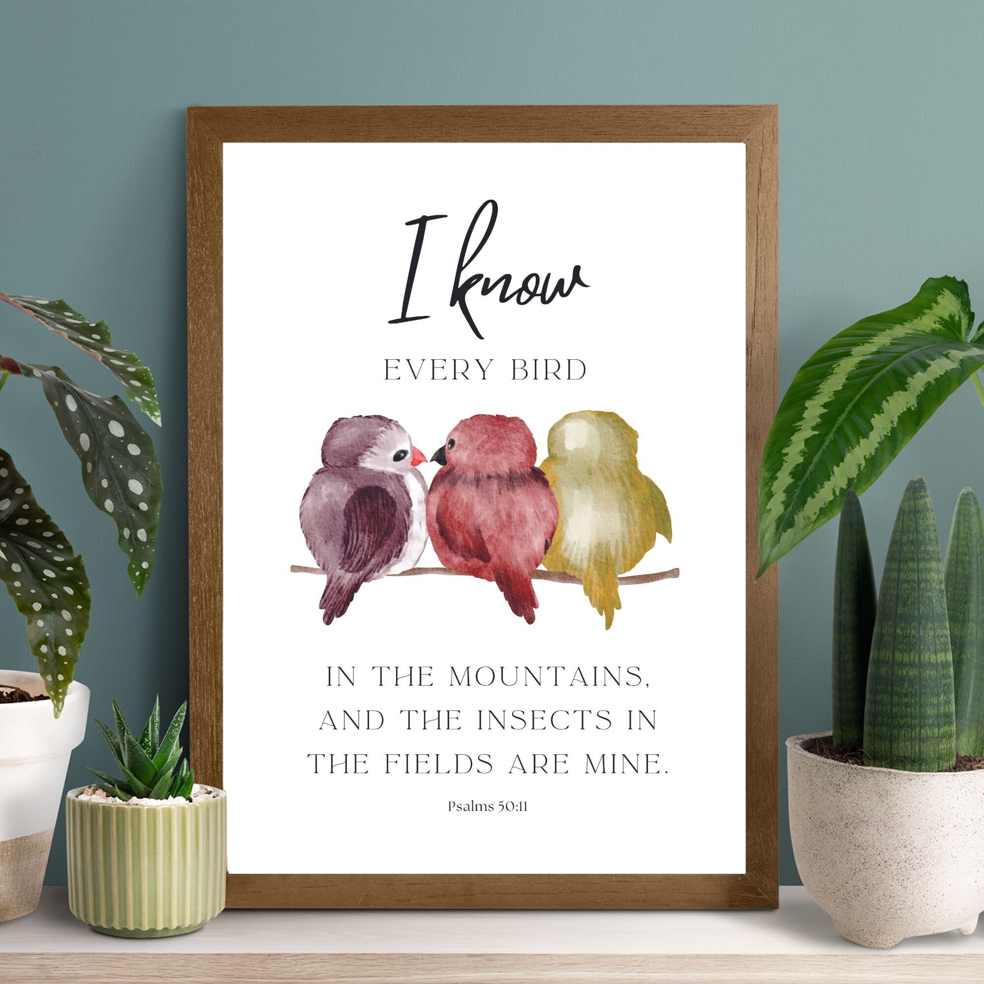 Psalms 50, I Know Every Bird in the Mountains, and the Insects in the ...