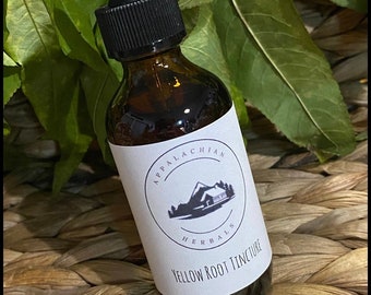 Xanthorhiza Simplicissima , YELLOW ROOT, Unusual Perennial Starter ...