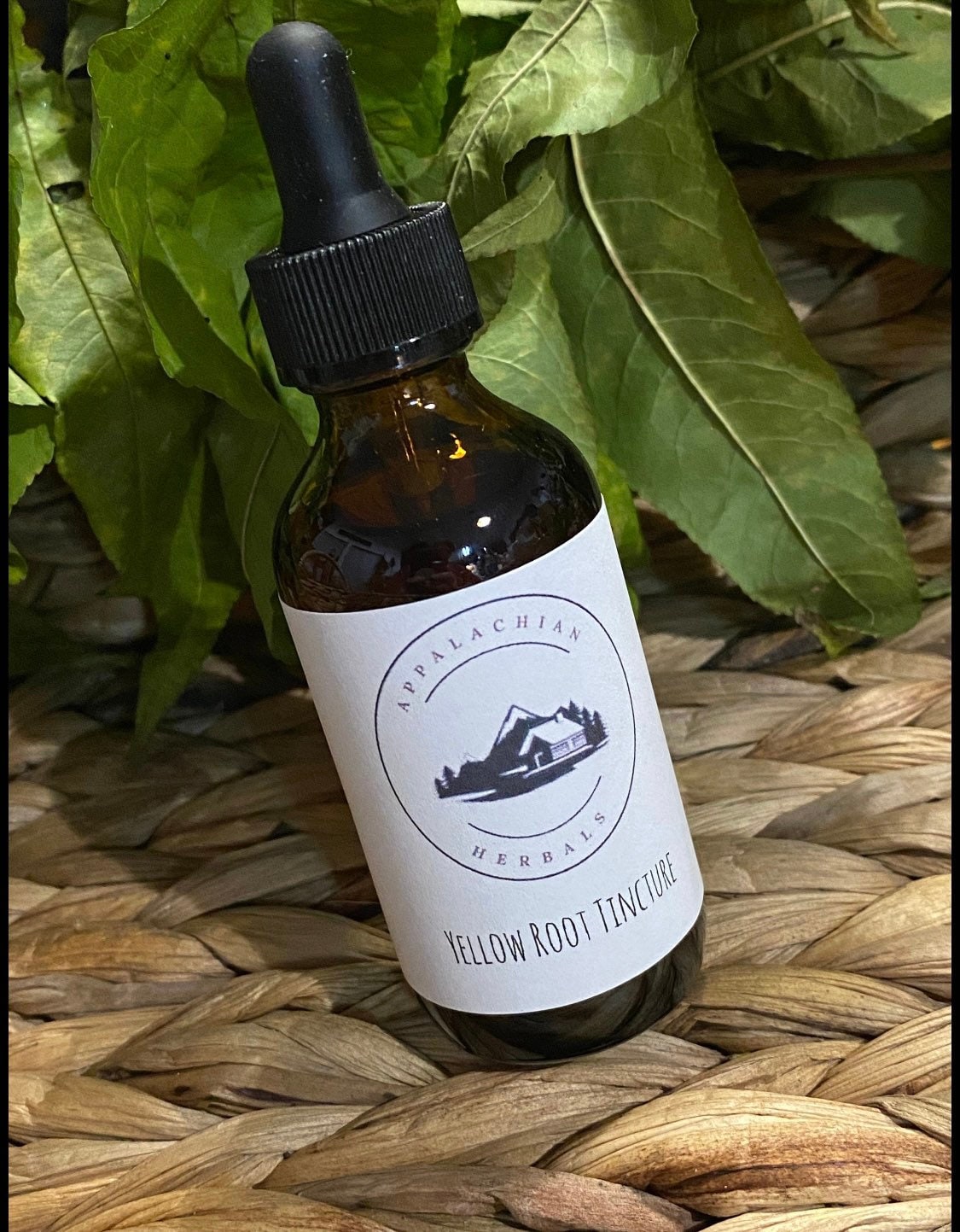 Yellow Root Tincture - Etsy