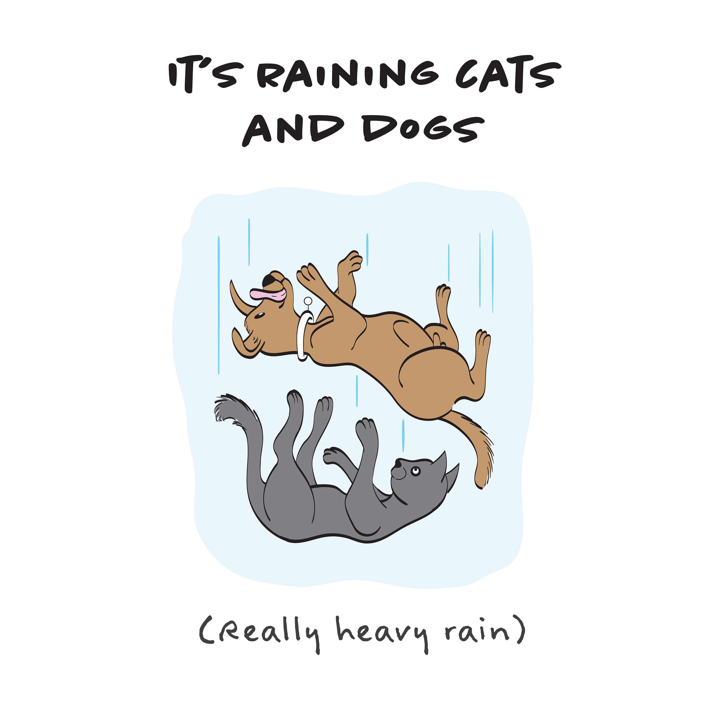 Printable - Different Types of Rain - Poster, Digital Download ...