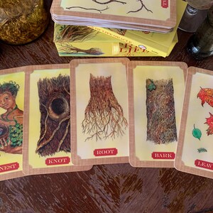 Tree of Life Oracle Cards Deck USED - Etsy