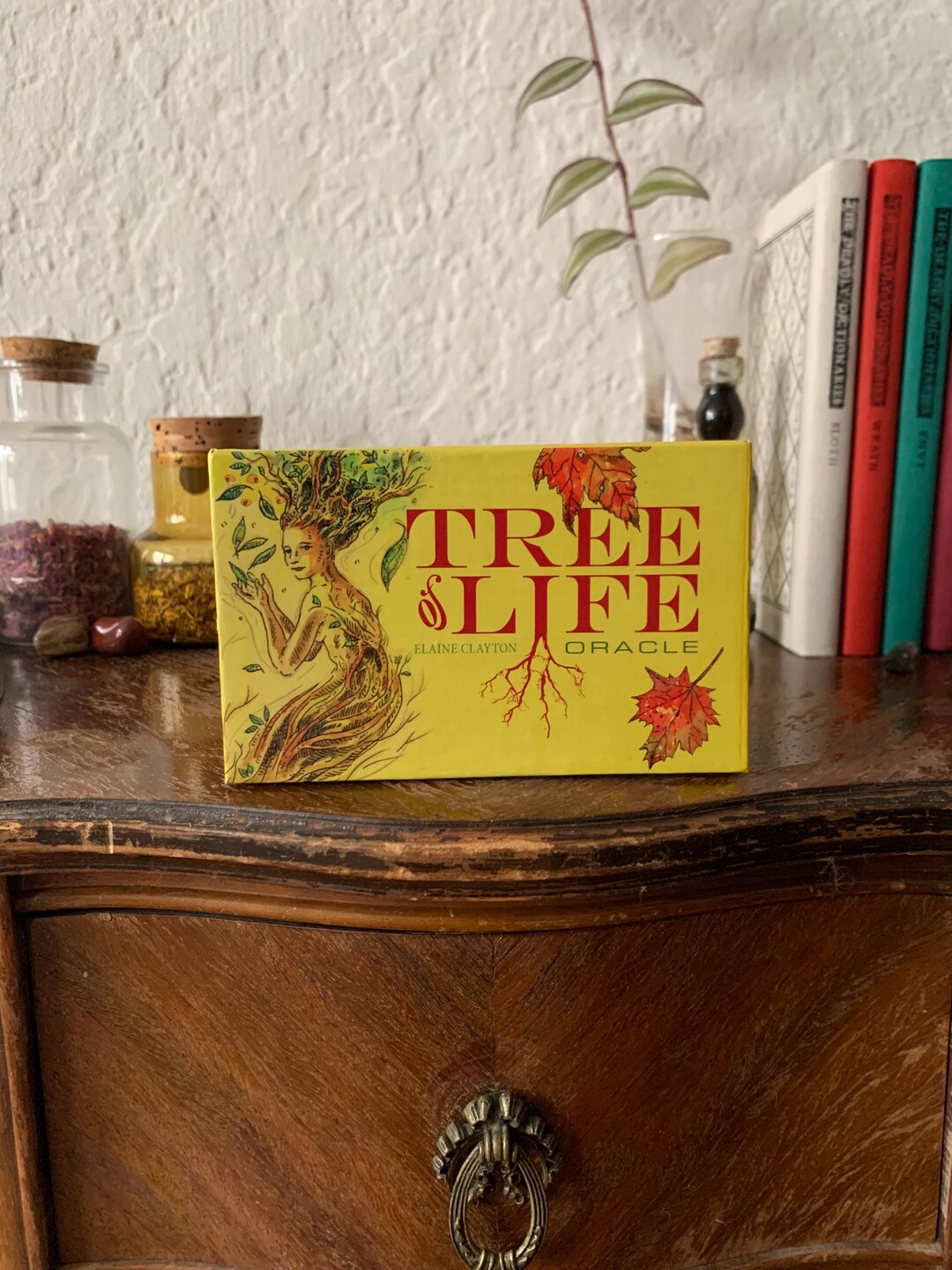 Tree of Life Oracle Cards Deck | USED - Etsy