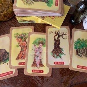 Tree of Life Oracle Cards Deck USED - Etsy