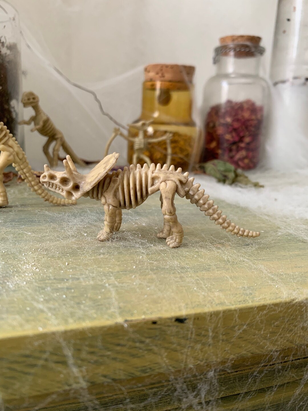 Set of 8 Plastic Dinosaur Skeletons | Spooky Weird Creepy Decor - Etsy