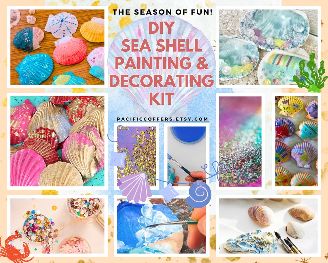 Sea Shells Craft Kit for All Ages DIY Painting and Decorating Set ...