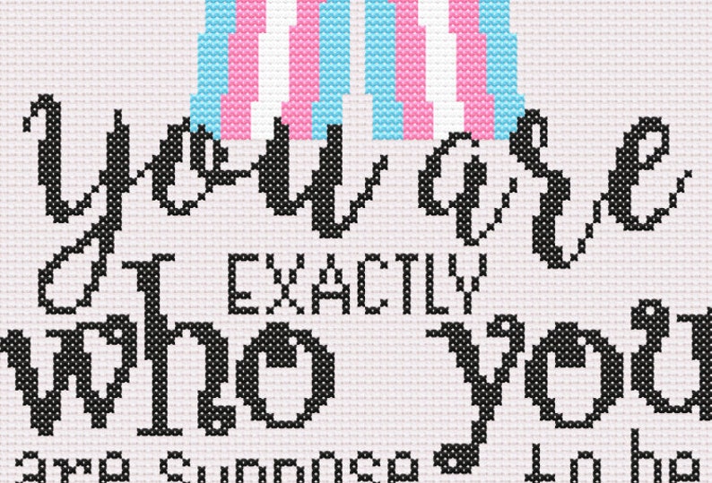 Trans Pride Rainbow - Cross Stitch Pattern - Etsy