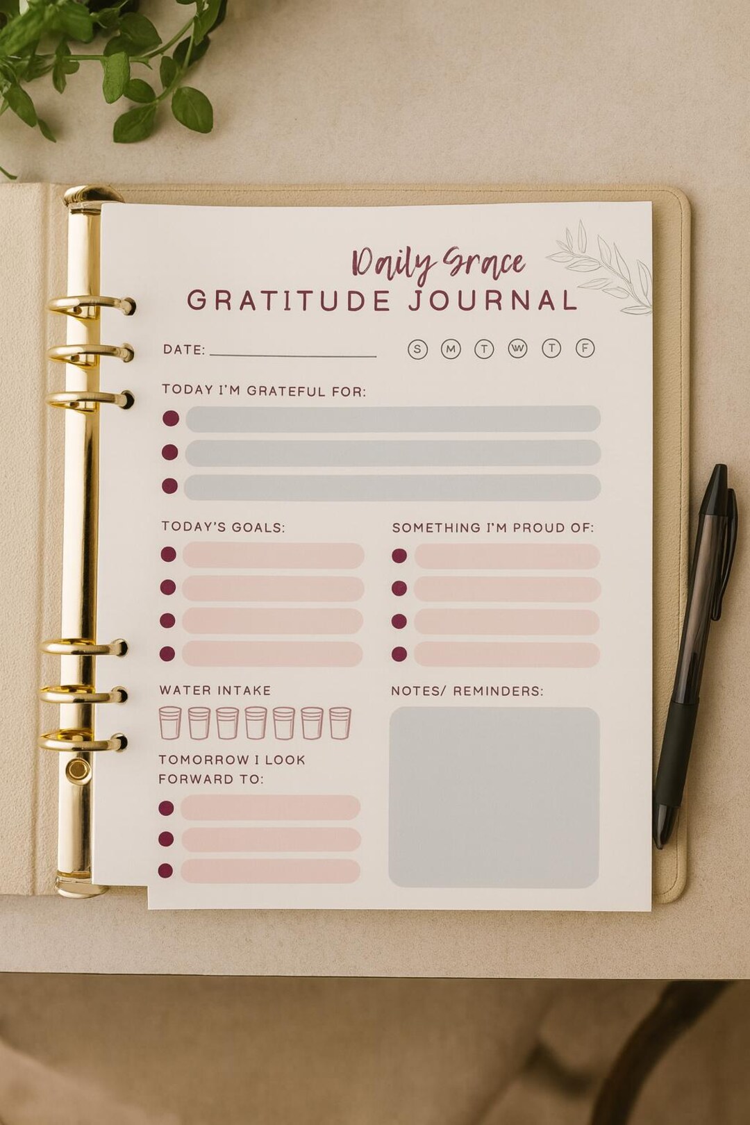 Daily Grace Gratitude Journal Printable | Goal Setting, Habit Tracking ...