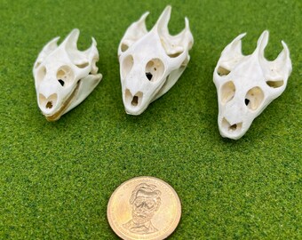 6 to 7 Red Ear Turtle Shell Block Pattern - Etsy