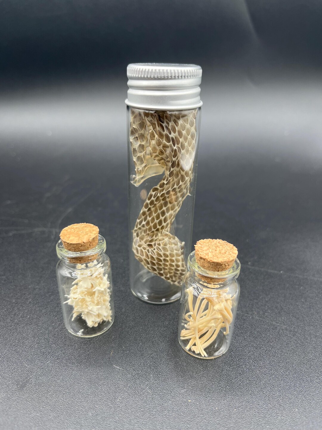 Black Snake Bundle - Etsy