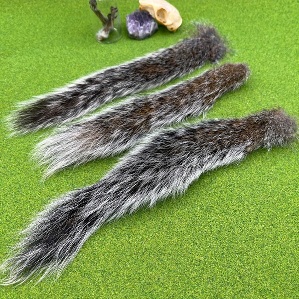 Squirrel Tails - Etsy