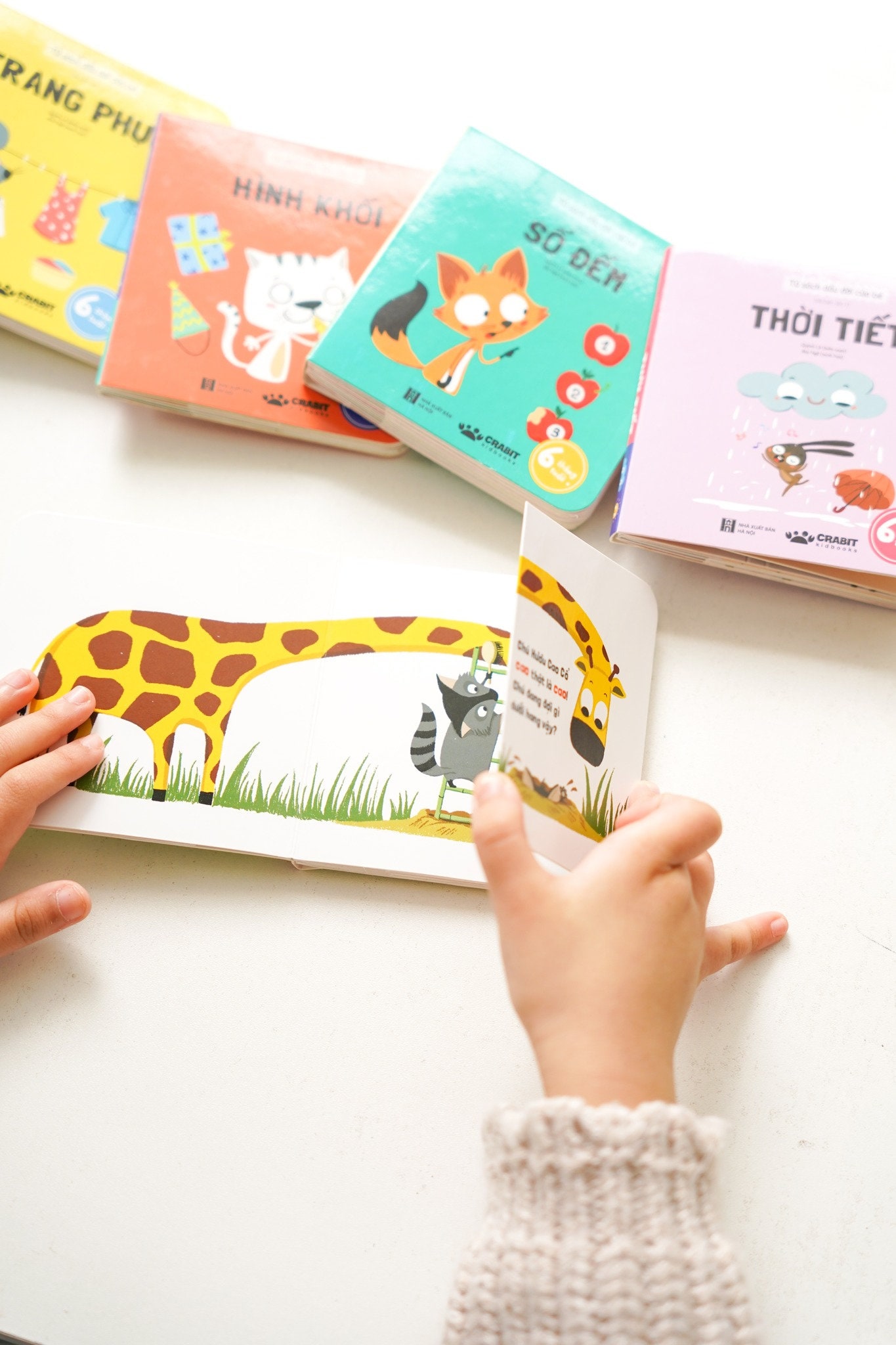 Vietnamese Flip-flap Children's Books: Interactive Learning Set ...
