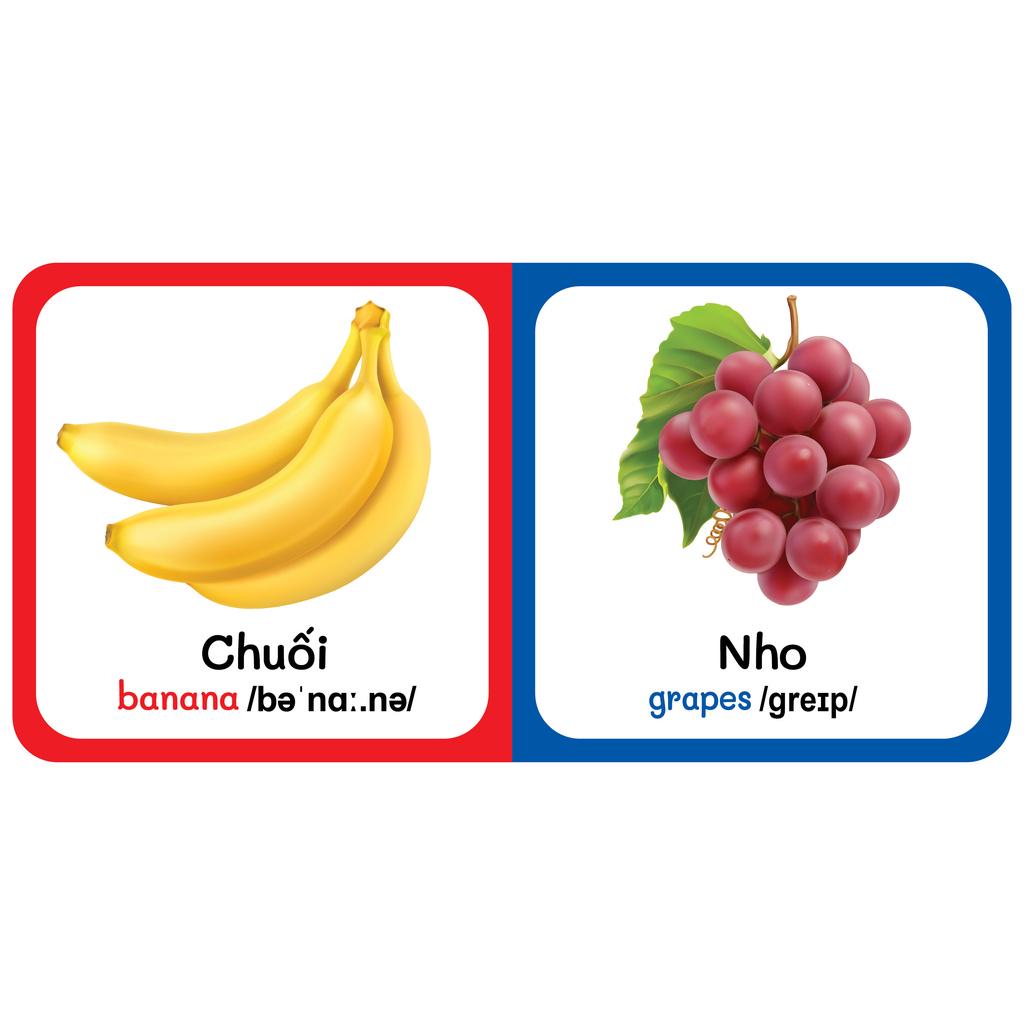 Bilingual Vietnamese English Picture Dictionary - Yellow Set of 9 First ...