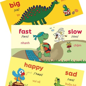 Boxset 8 Bilingual Pictionary Vietnamese English Boardbooks| Your ...