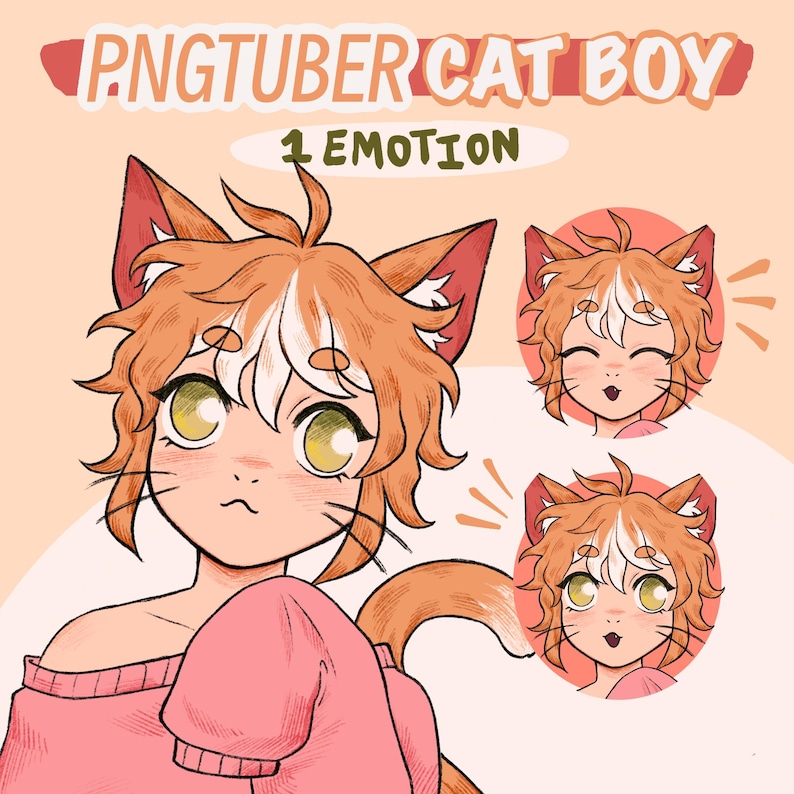 Cute Pngtuber Ginger Catboy Avatar | Veadotube Mini | Hand Drawn ...
