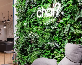 Chai Neon Sign - Etsy