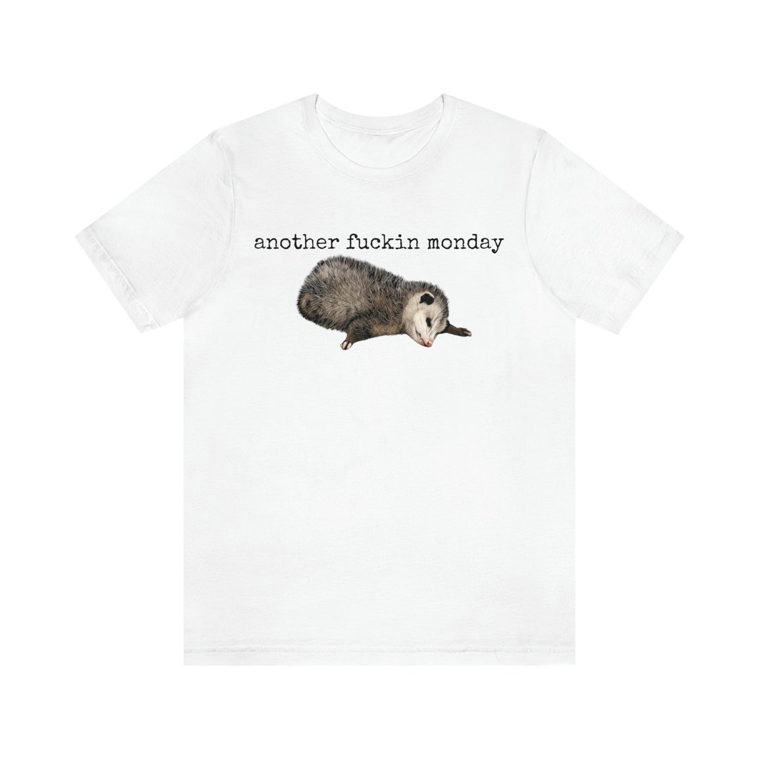Funny Possum Shirt, Funny Opossum T Shirt, Humorous Tshirt, Sarcastic ...