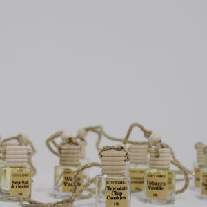 Car Diffuser | Air Freshener | Car Accessories | Car Freshies | Hanging ...