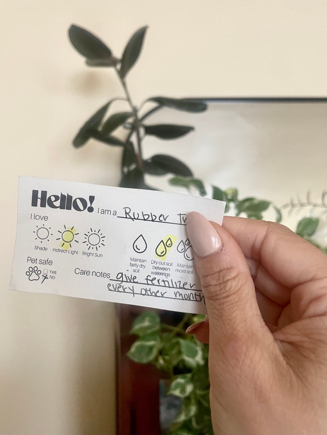Plant Care Info Cards Digital Download Instant Plant Care - Etsy