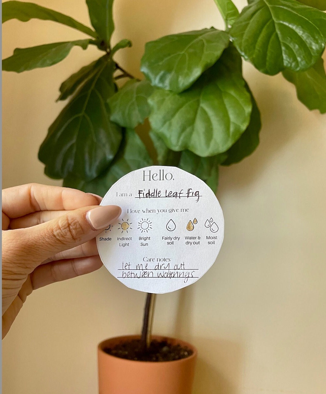 Plant Care Info Cards | Digital Download | Instant Plant Care Resources ...