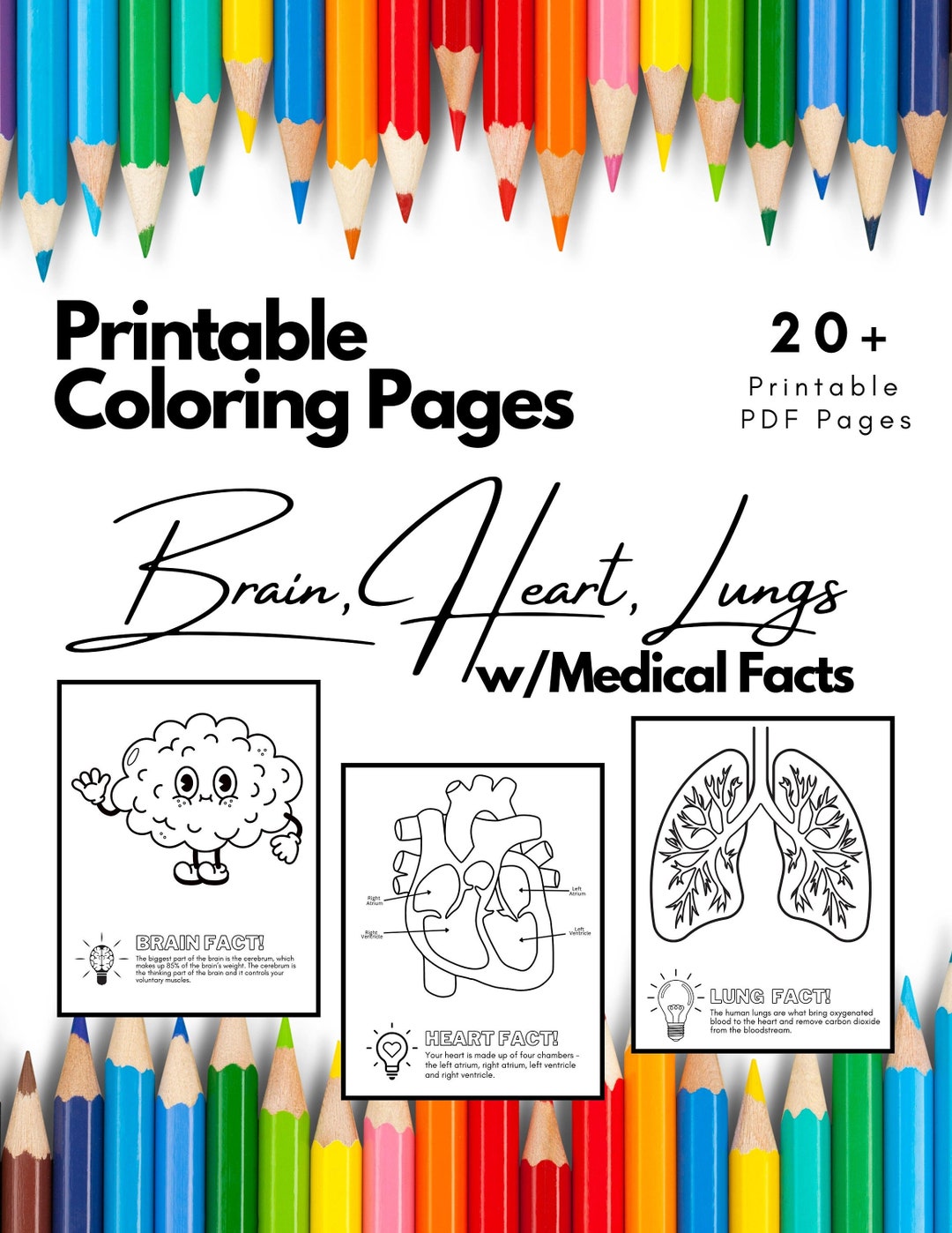 Educational Printable Coloring Book for Kids - Etsy