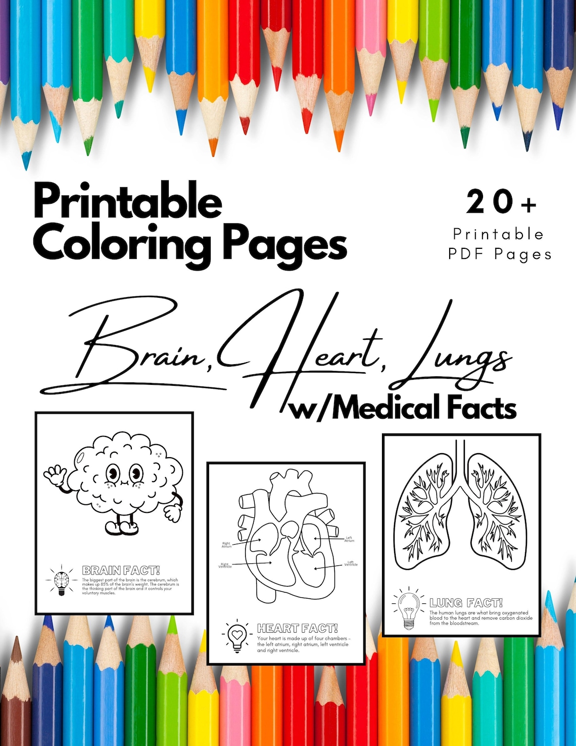 Educational Printable Coloring Book for Kids - Etsy