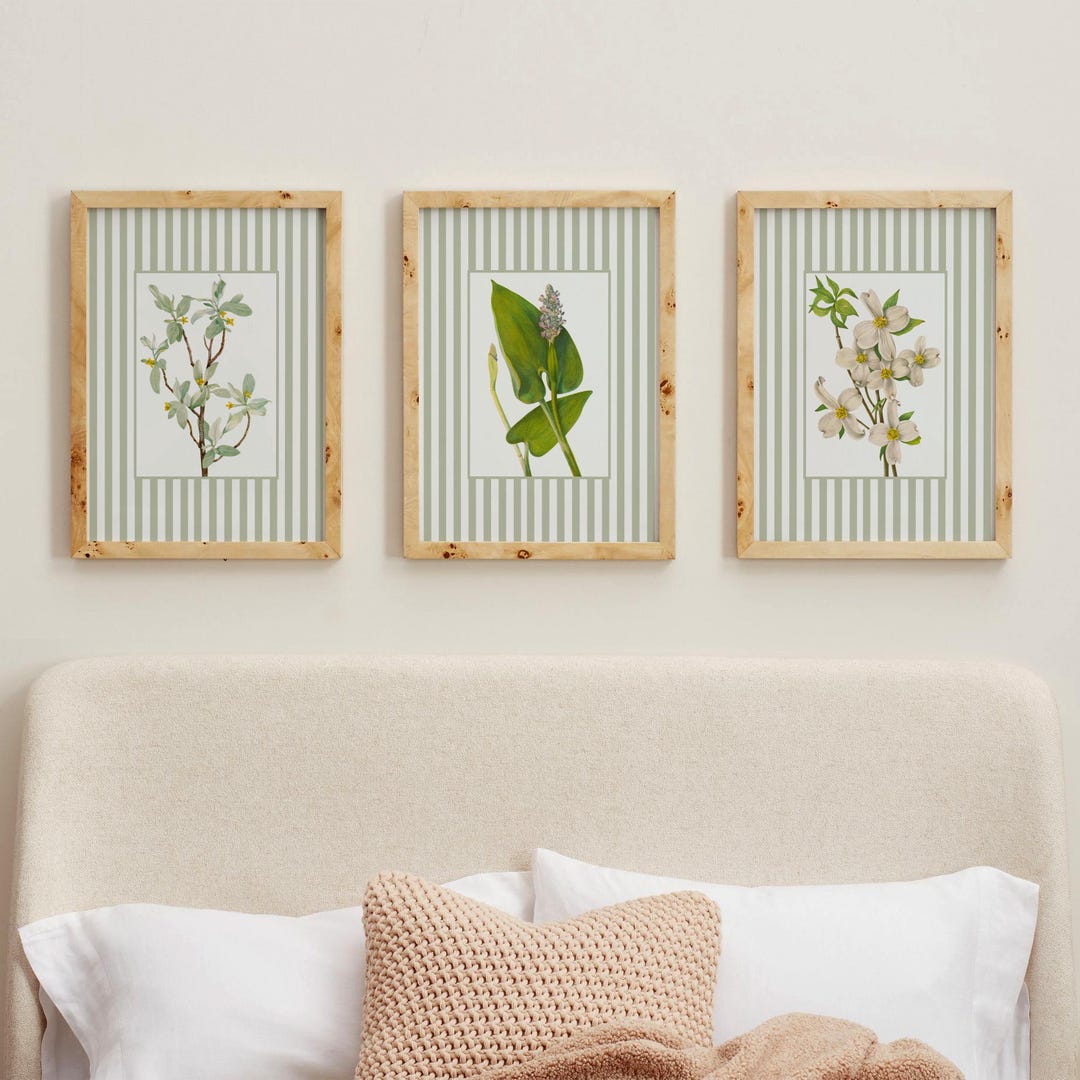 Set of 3 Green Botanical Prints | Simple Floral Wall Art | Striped ...