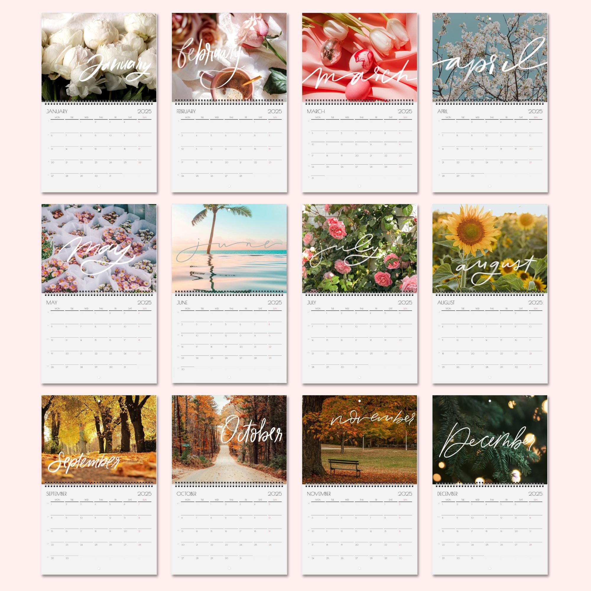2025 Wall Calendar Coquette Aesthetic, Trendy Girly Wall Hanging, Fun ...