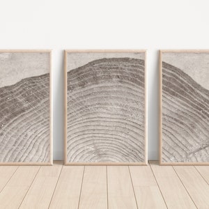 Rustic Tree Ring Wall Art Set of 3 Prints Modern Neutral Boho Home ...