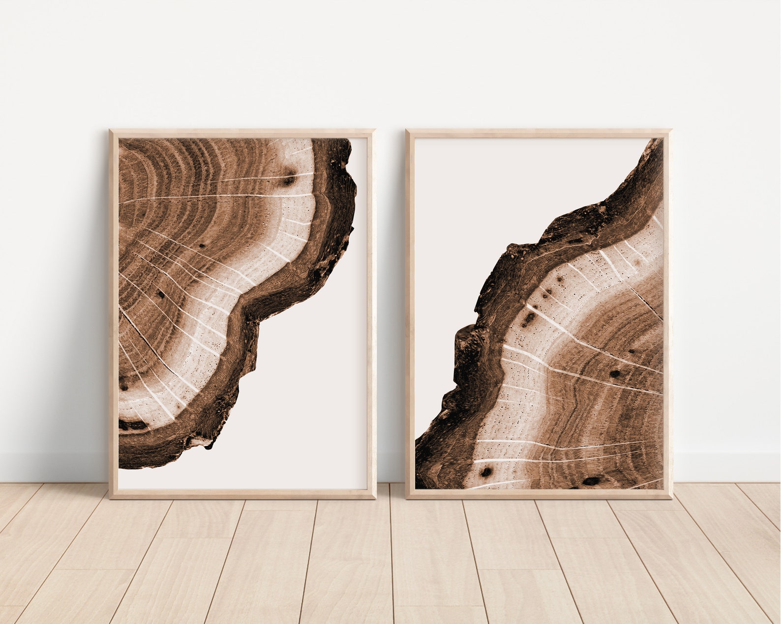 Wood Tree Ring Print Set of 2, Modern Nordic Art (digital Download) - Etsy