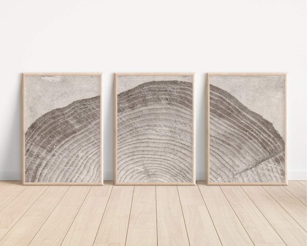 Rustic Tree Ring Wall Art Set of 3 Prints Modern Neutral Boho Home ...