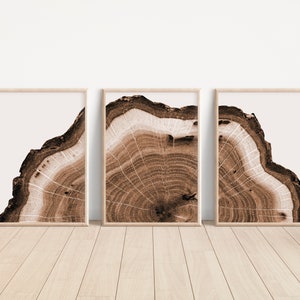 Set of 3 Woodcut Print Tree Ring Wall Art Modern Neutral Boho Decor ...