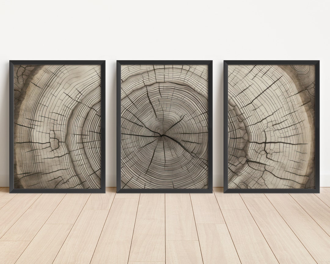 Rustic Tree Rings Wall Art Set of 3, Printable Boho Decor, Neutral ...