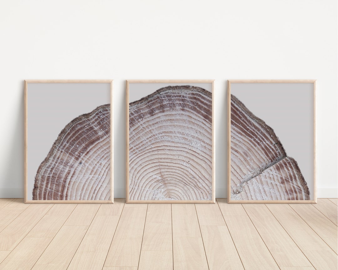 Rustic Tree Ring Print Wall Art Set of 3 Beige Gray Tree Ring Printable ...