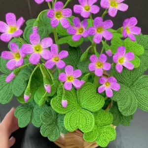 Hand Knitted Small Daisy, Finished Product, Crochet Pattern, Holiday ...