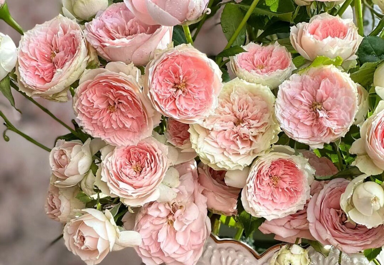 Cream Pink Rose PPV - Etsy