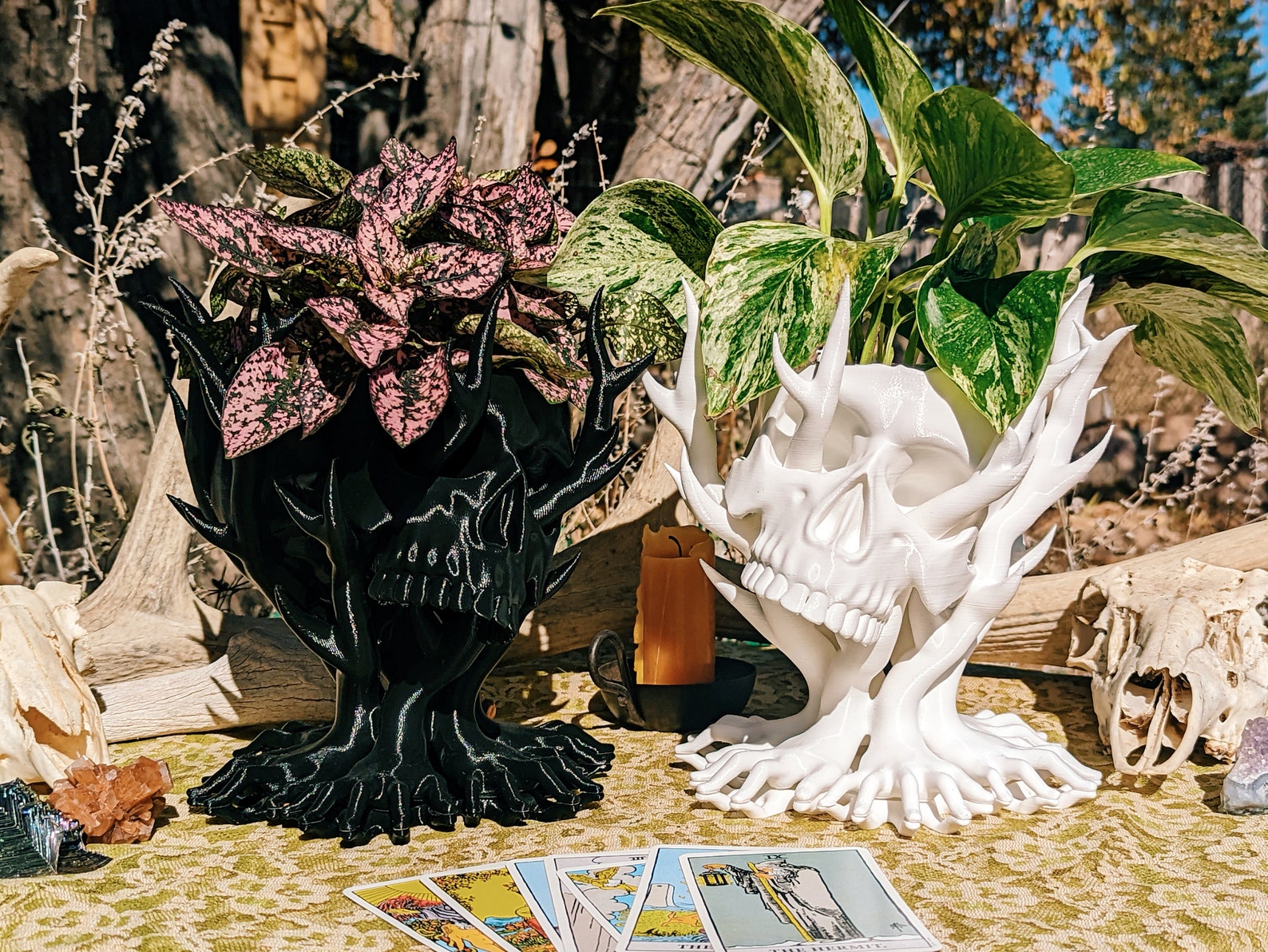 Obitus Botanica 3D Printed Planter - Etsy