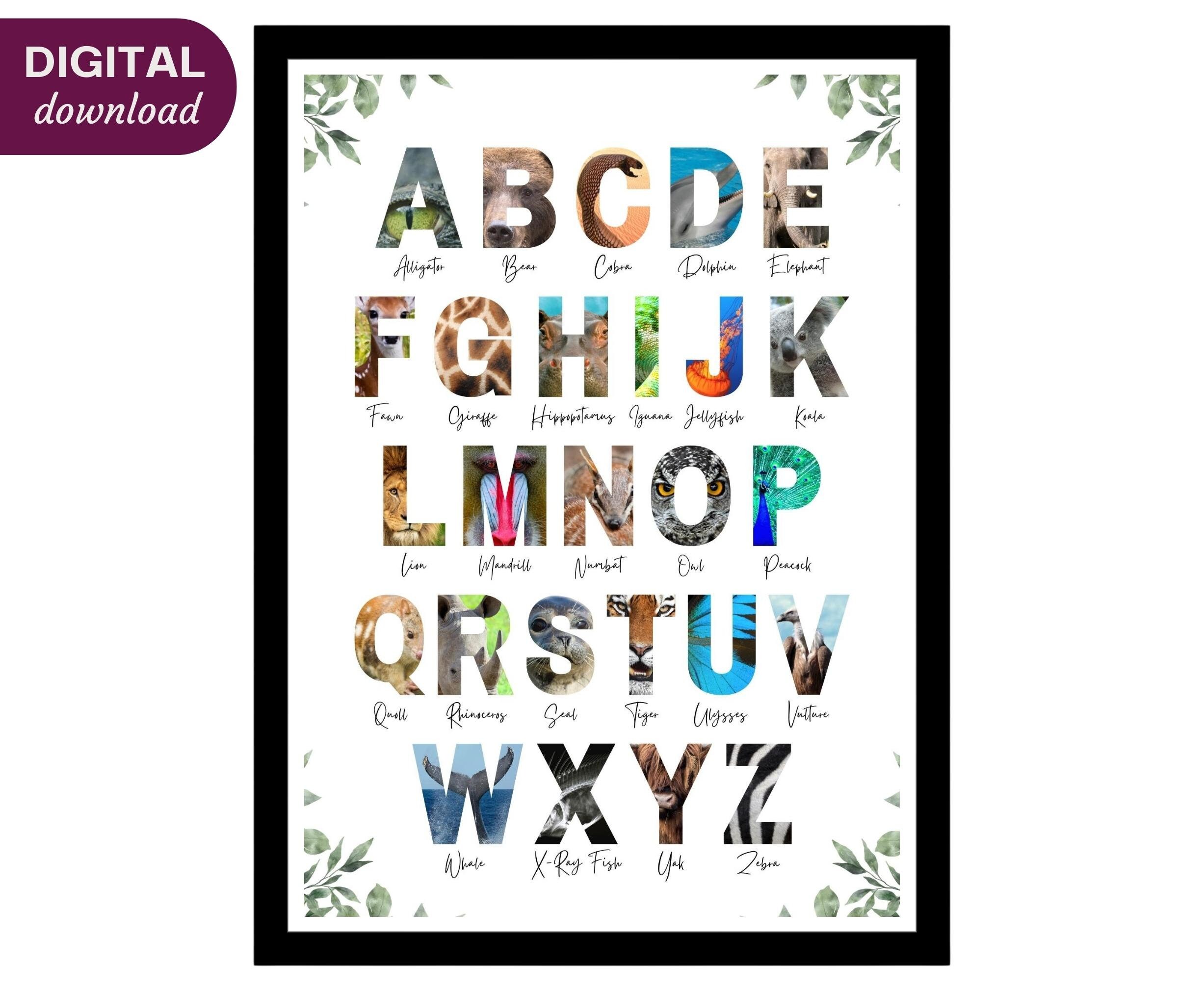 PRINTABLE Wild ABC Chart Alphabet Chart Preschool Classroom - Etsy UK