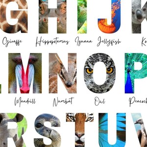 PRINTABLE Wild ABC Chart, Alphabet Chart, Preschool Classroom Decor ...