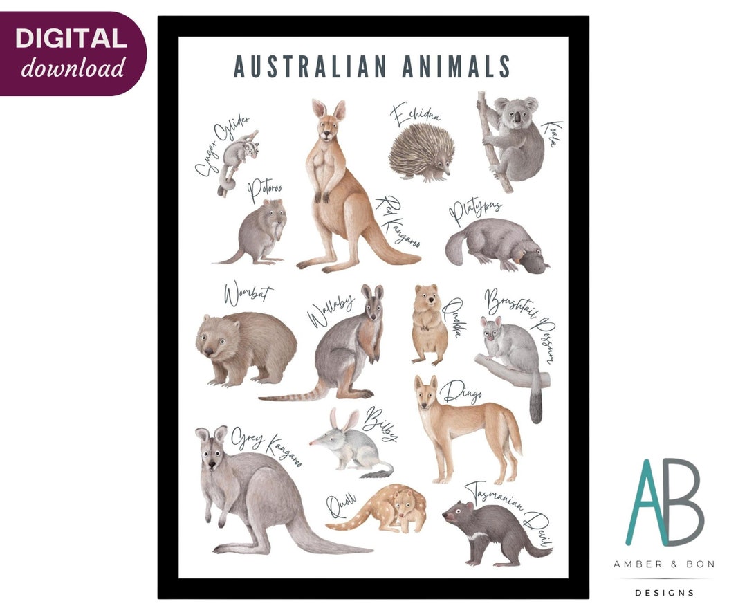 PRINTABLE Australian Animals Chart, Australian Animal Wall Art ...
