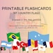 197 Country Flags Flashcards - Etsy Canada