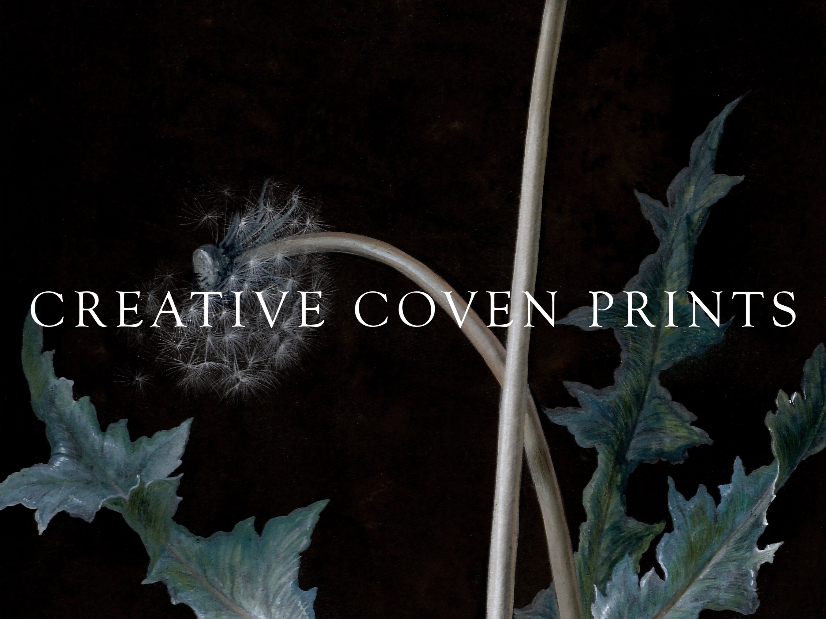 Vintage Dandelion Print Moody Botanical Wall Art Dark Academia Art ...