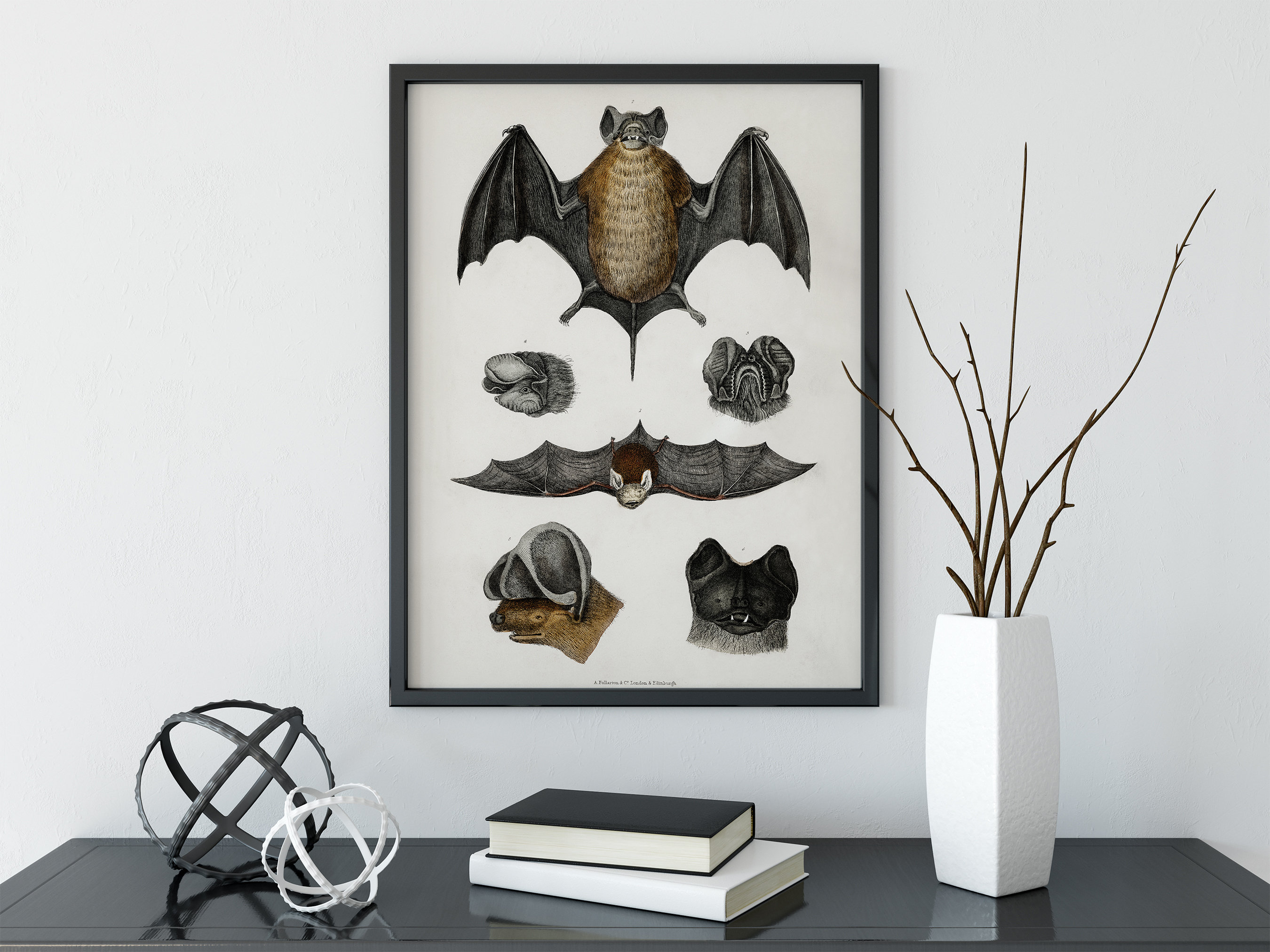 Vintage Bat Wall Art | Dark Academia Wall Art | Moody Art | Halloween ...