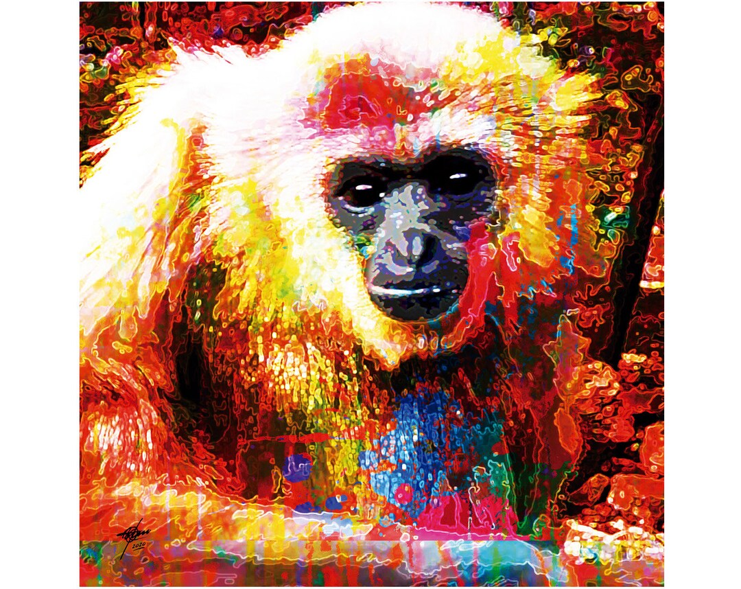 Colorful Monkey Art Print: Wild Animal Home Decor (digital Download) - Etsy