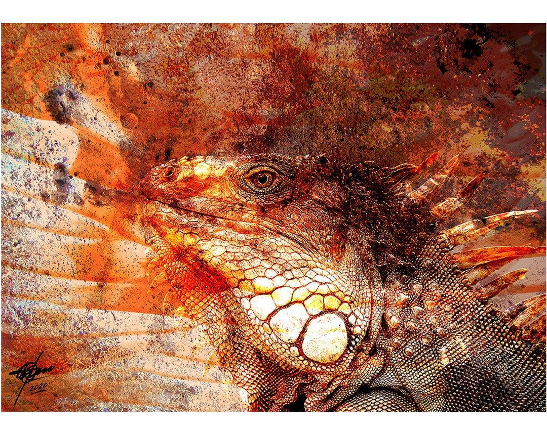 IGUANA DECOR POSTER | Reptil Animal Decor | Iguana Decor Sheet | Animal ...