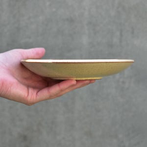 Ceramic Plate – Natural Earth Tones, Pottery Plate in Bright Brown ...